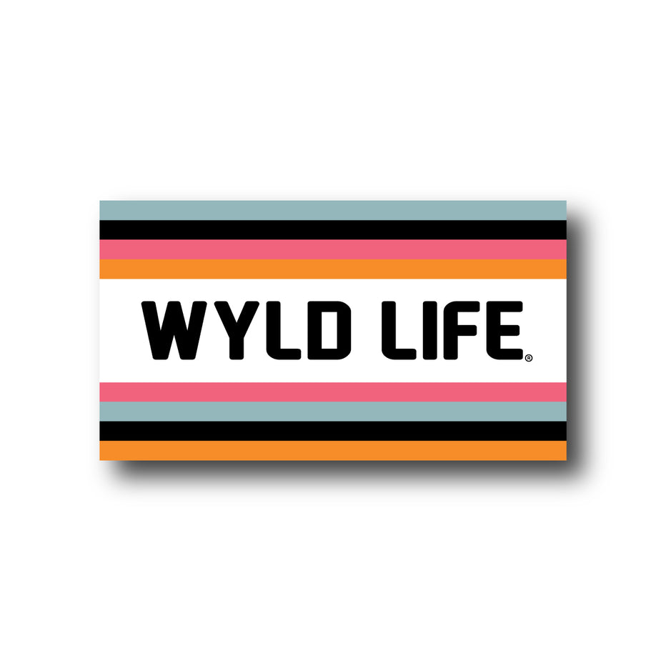 WyldLife Stickers – Young Life Store